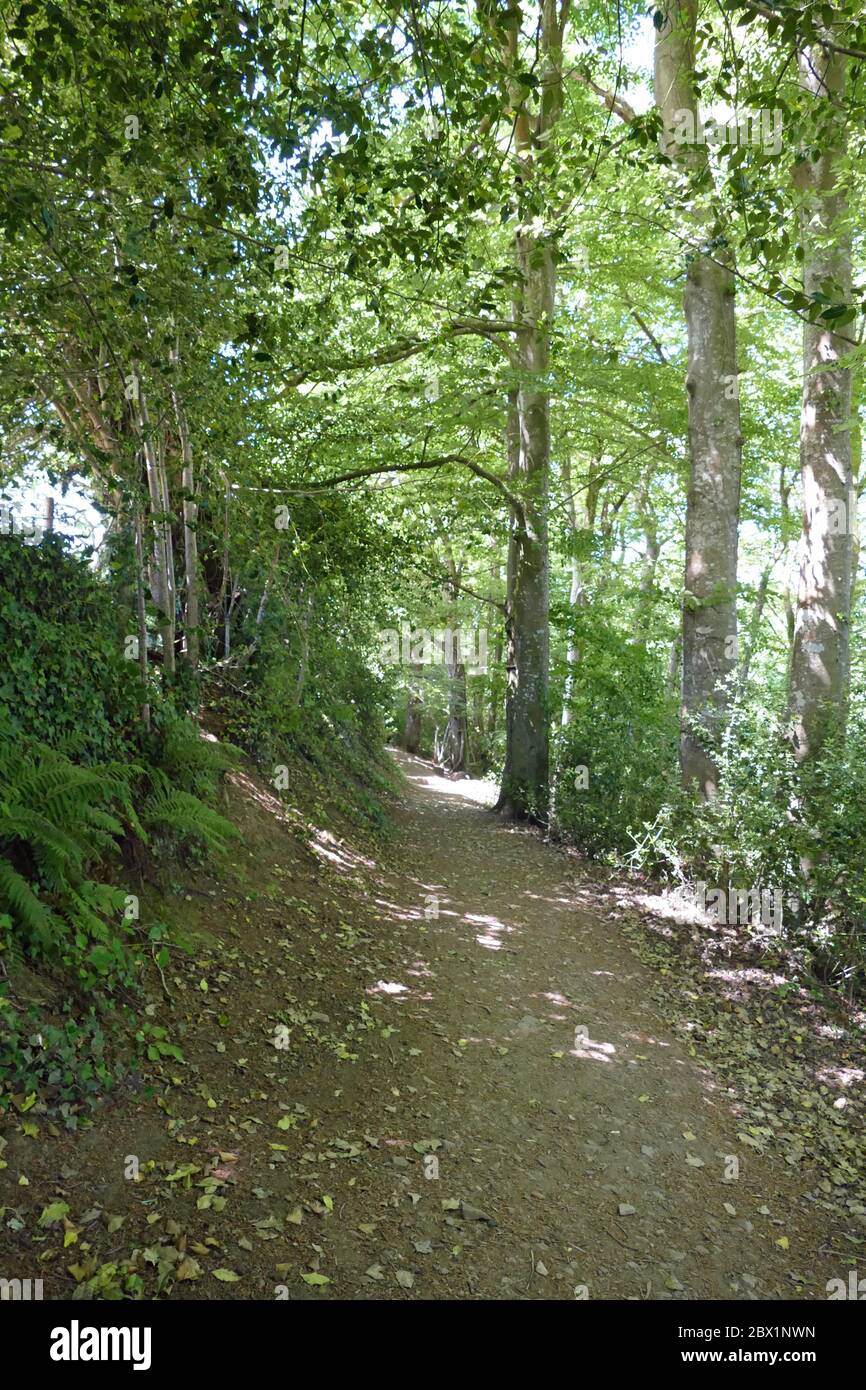 Parke, Bovey Tracey, Devon, U.K Stock Photo - Alamy