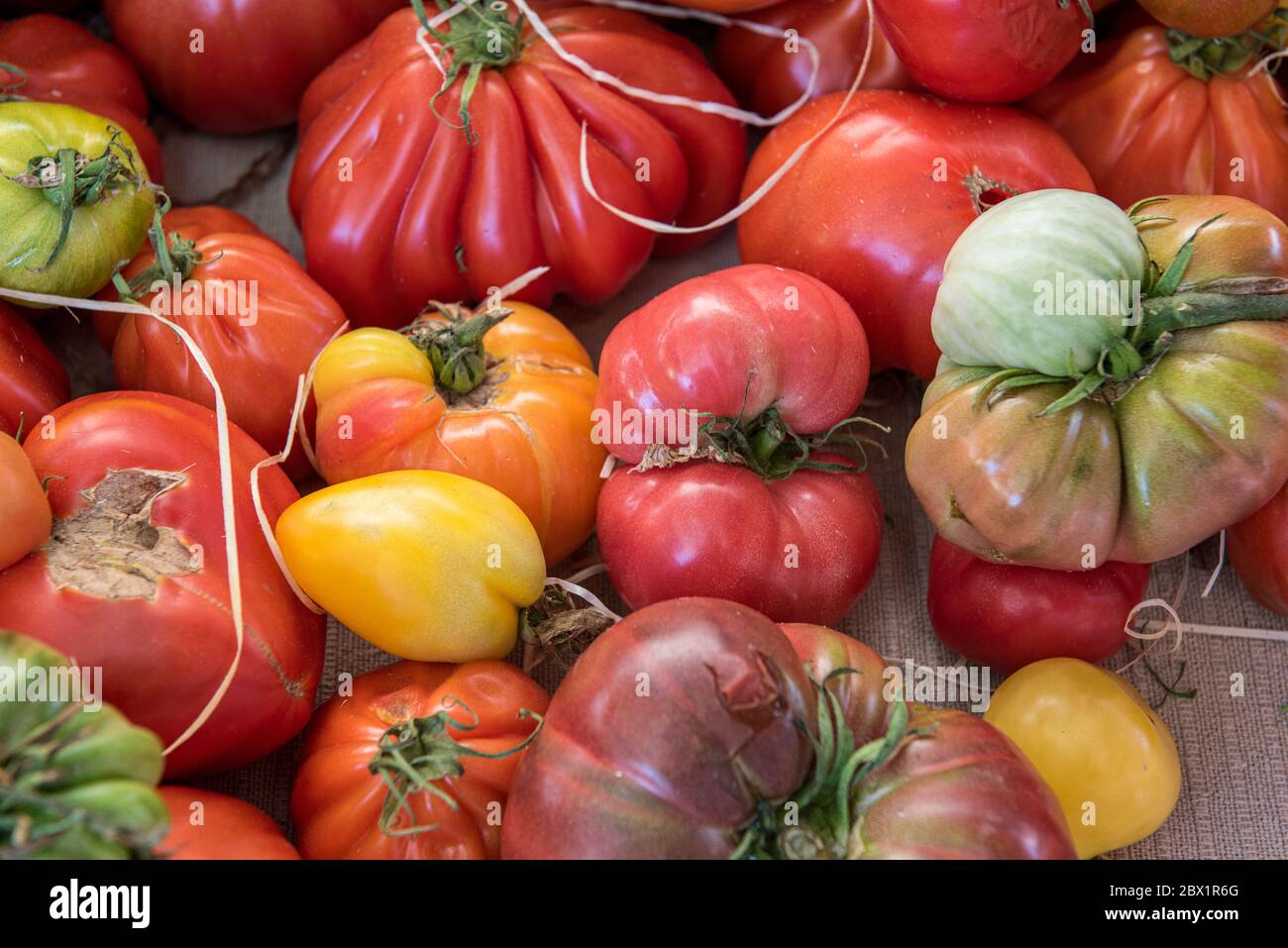 Variety old organic tomatoes on a market Stock Photo - Alamy