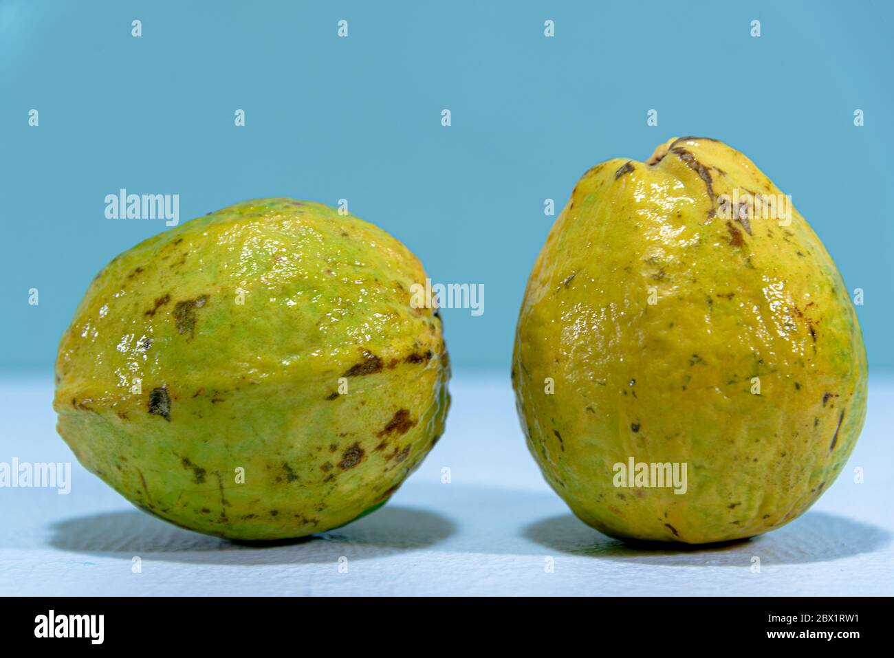 Psidium Guajava Fruit