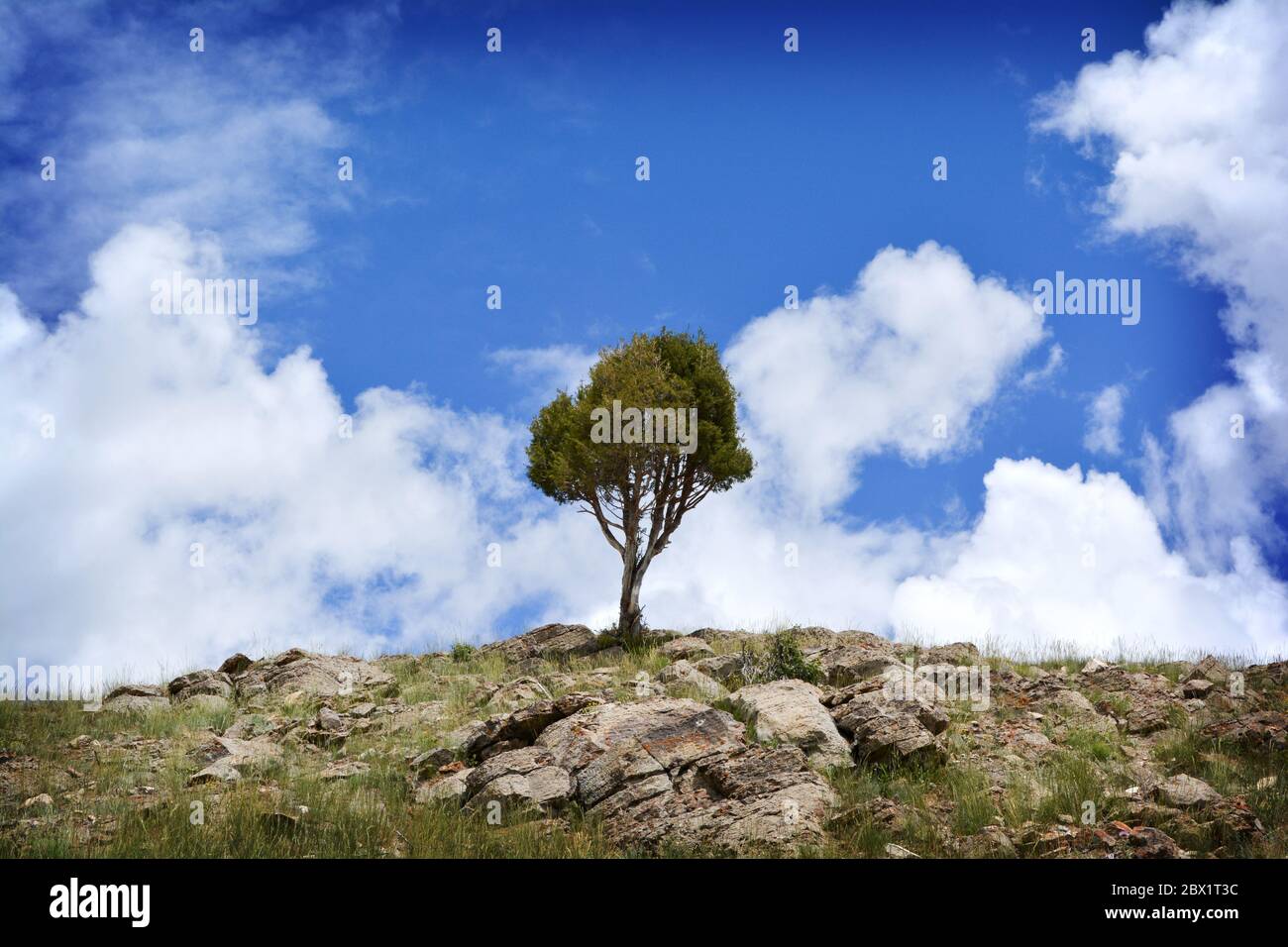 Refuge symbolic hi-res stock photography and images - Alamy