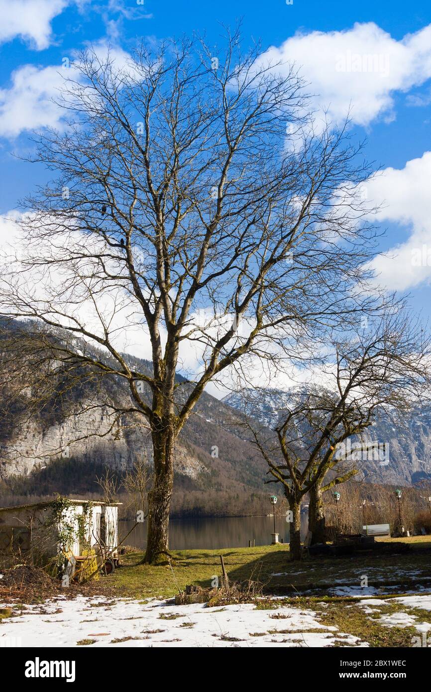 Spring in village Hallstatt. Non-tourist landscape. UNESCO world ...