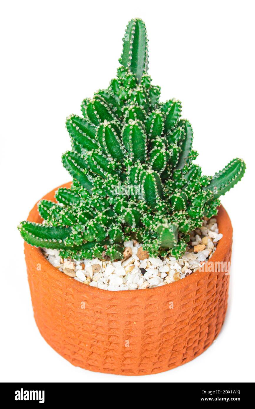 Light and tone hi-res stock photography and images - Alamy