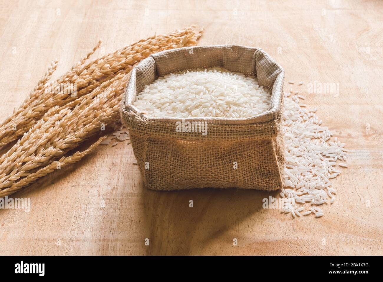 Raw rice grain and dry rice plant on wooden table background Stock ...