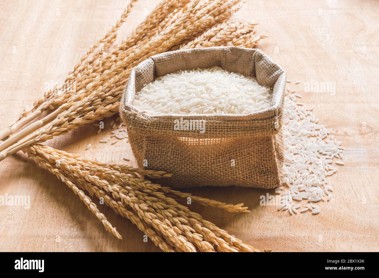 Raw rice grain and dry rice plant on wooden table background Stock ...
