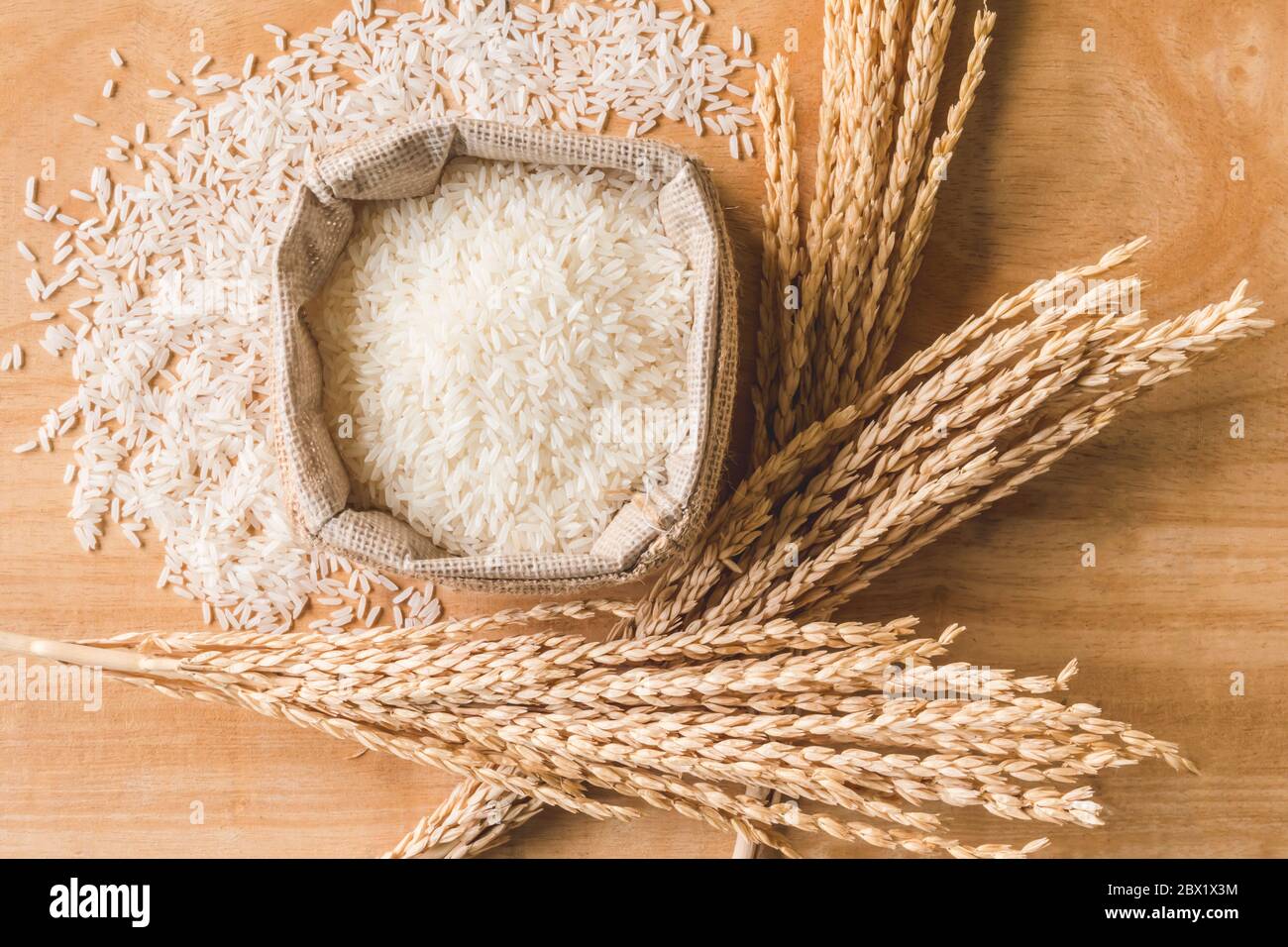 Top view of Raw rice grain and dry rice plant on wooden table ...