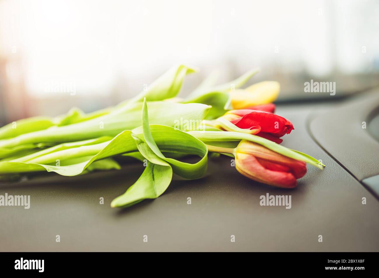 Bouquet of spring tulips on the dashboard in the car Stock Photo - Alamy
