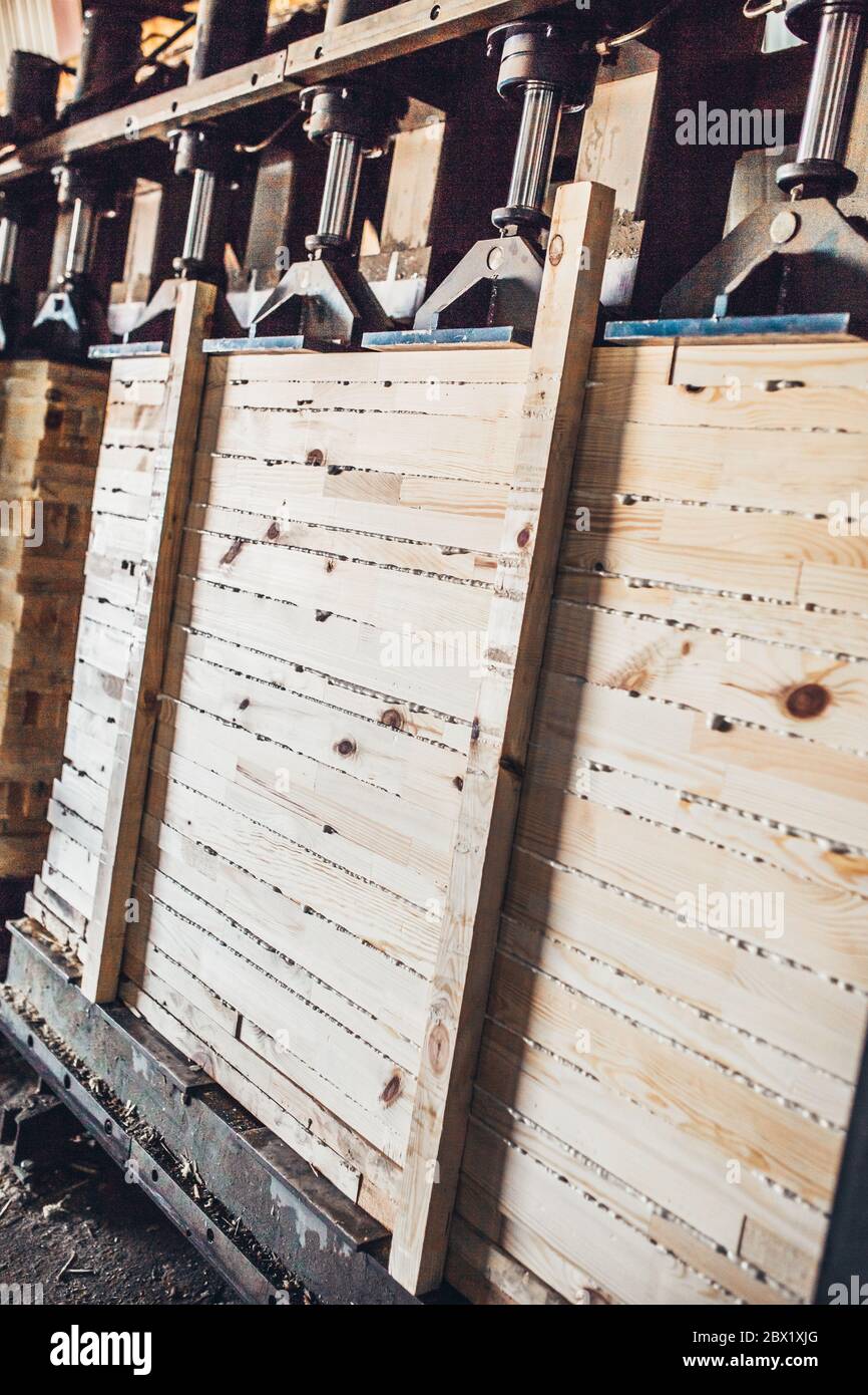 Wood processing at the sawmill - woodworking industry - gluing Stock ...