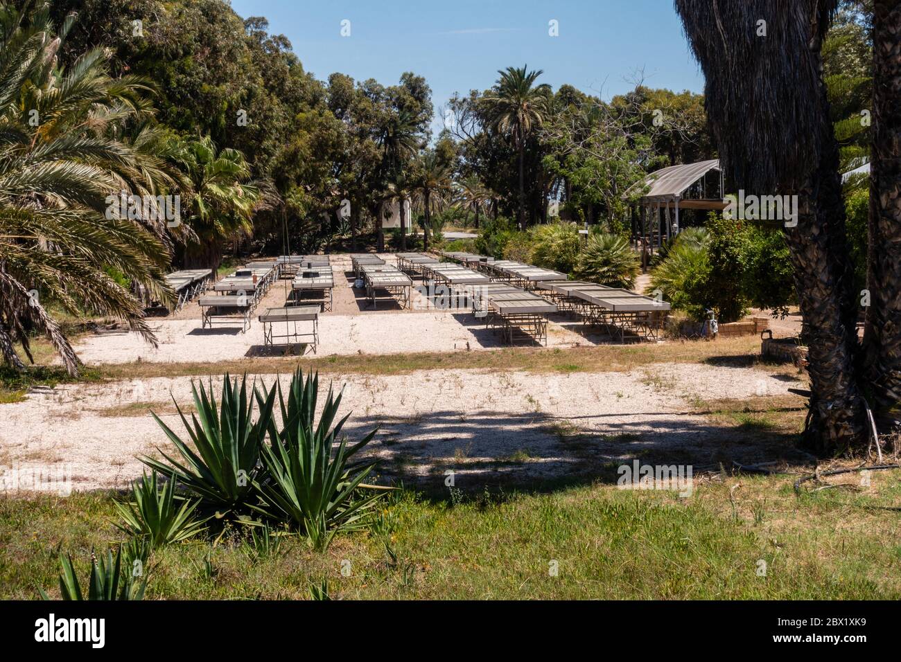 forestry plantation centre Stock Photo - Alamy