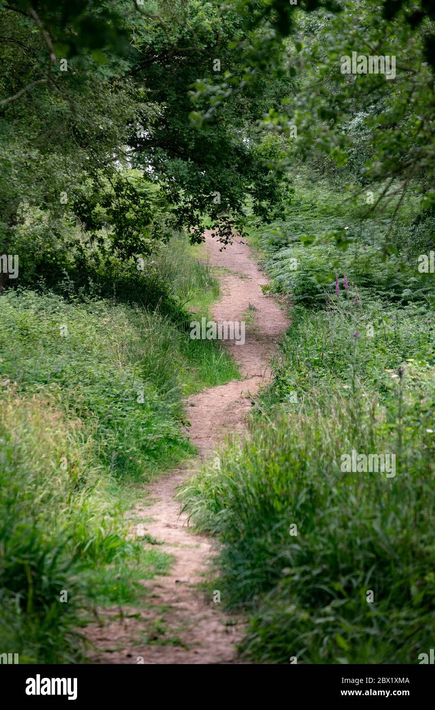 Winding public footpath hi-res stock photography and images - Alamy