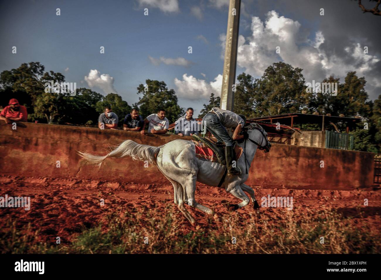 Beirut Horse Riding High Resolution Stock Photography and Images - Alamy