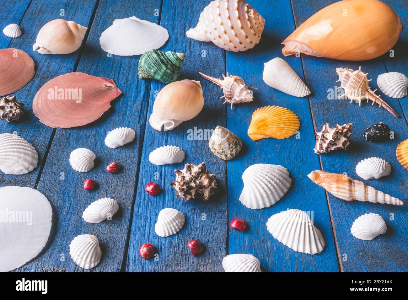 Seashells on blue painted wood plank background Stock Photo - Alamy