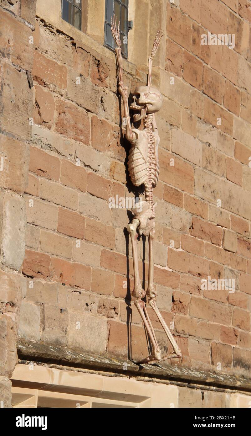 A Human Skeleton Figure Climbing up a Stone Wall Stock Photo - Alamy
