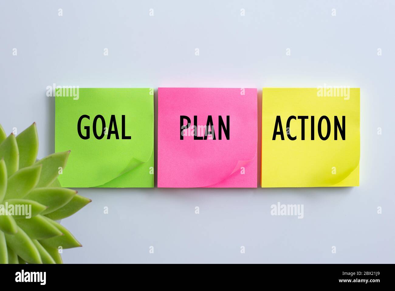Home plant in soft focus, different colours of sticky notes with sign ...