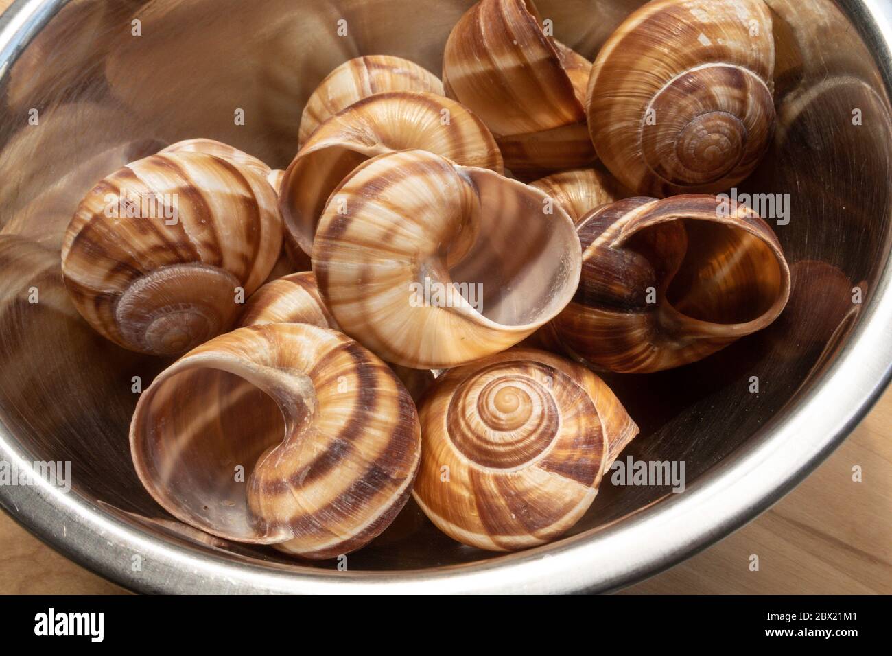 Snail shells shape hi-res stock photography and images - Alamy