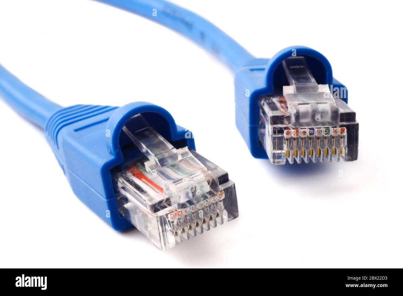 LAN network connection cable on white background Stock Photo - Alamy