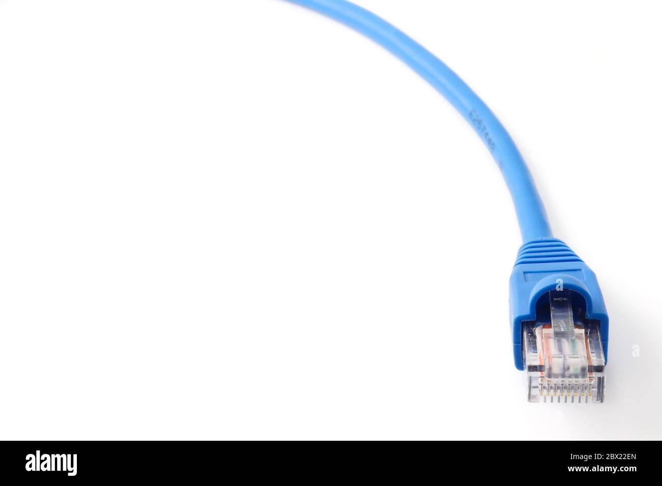 LAN network connection cable on white background. Free space for text ...