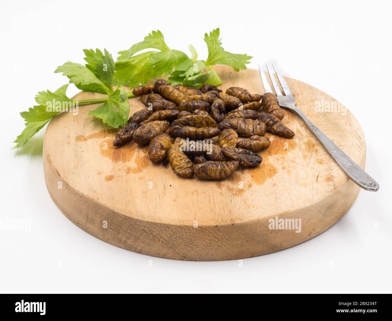 Eat some insects Cut Out Stock Images & Pictures - Alamy