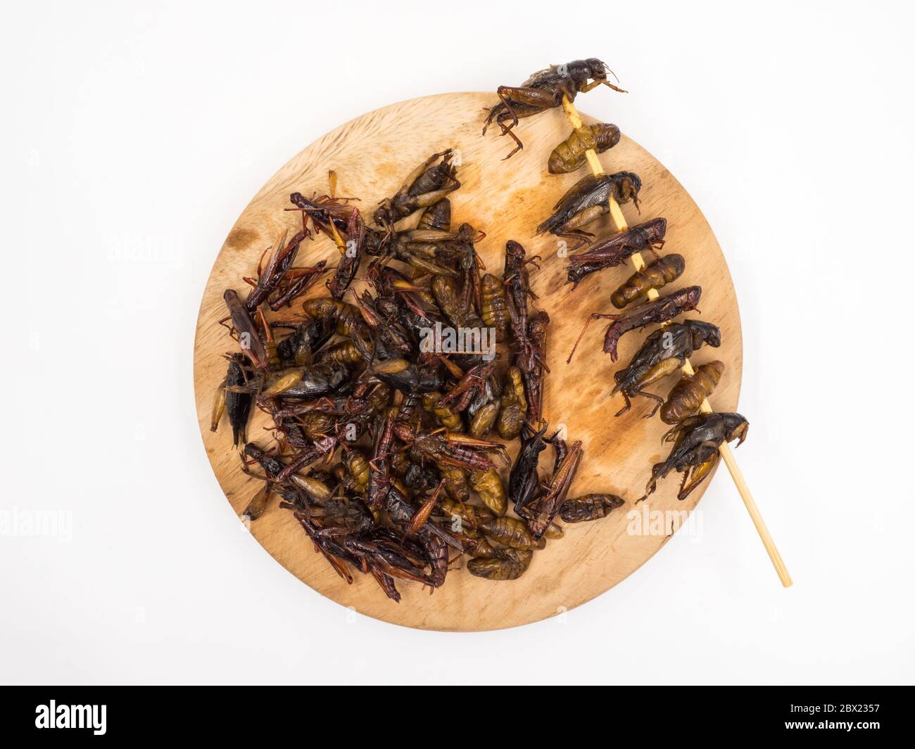 Fried insects. Protein rich food Stock Photo - Alamy