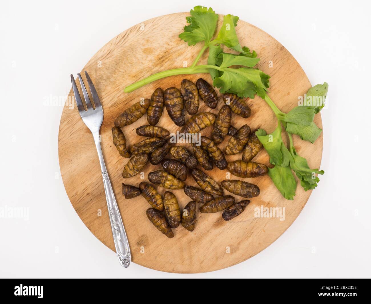 Fried insects. Protein rich food Stock Photo - Alamy