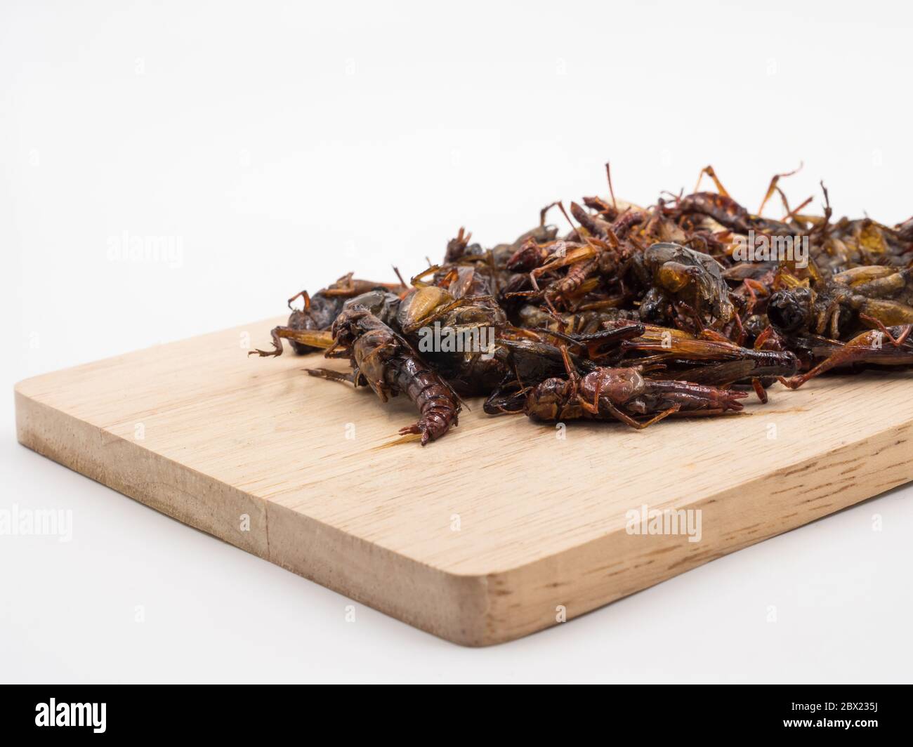 Fried insects. Protein rich food Stock Photo - Alamy