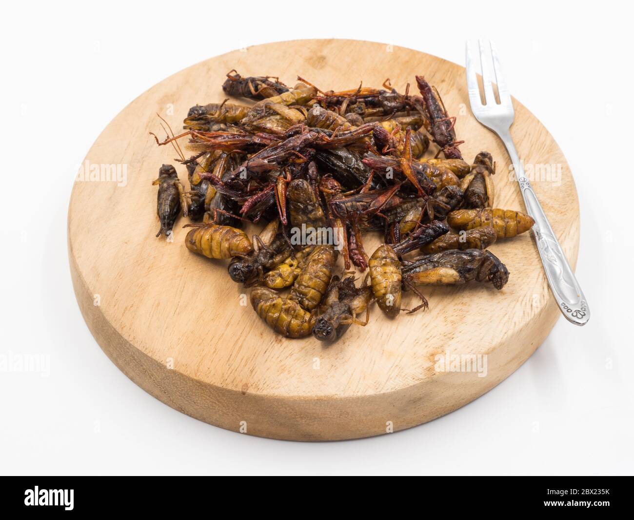 Fried insects. Protein rich food Stock Photo - Alamy