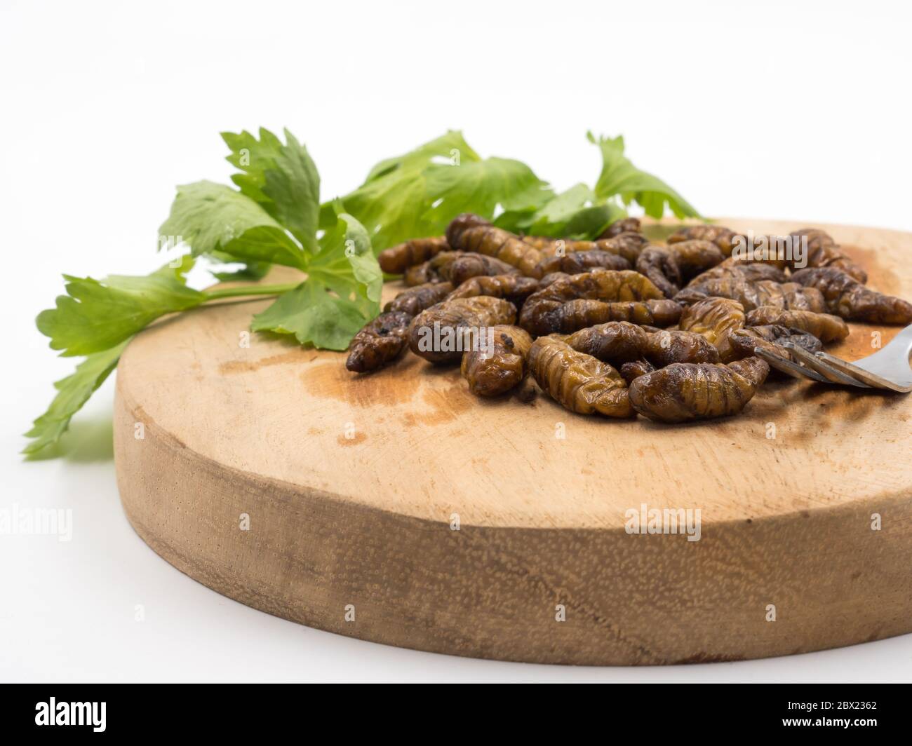 Fried insects. Protein rich food Stock Photo - Alamy