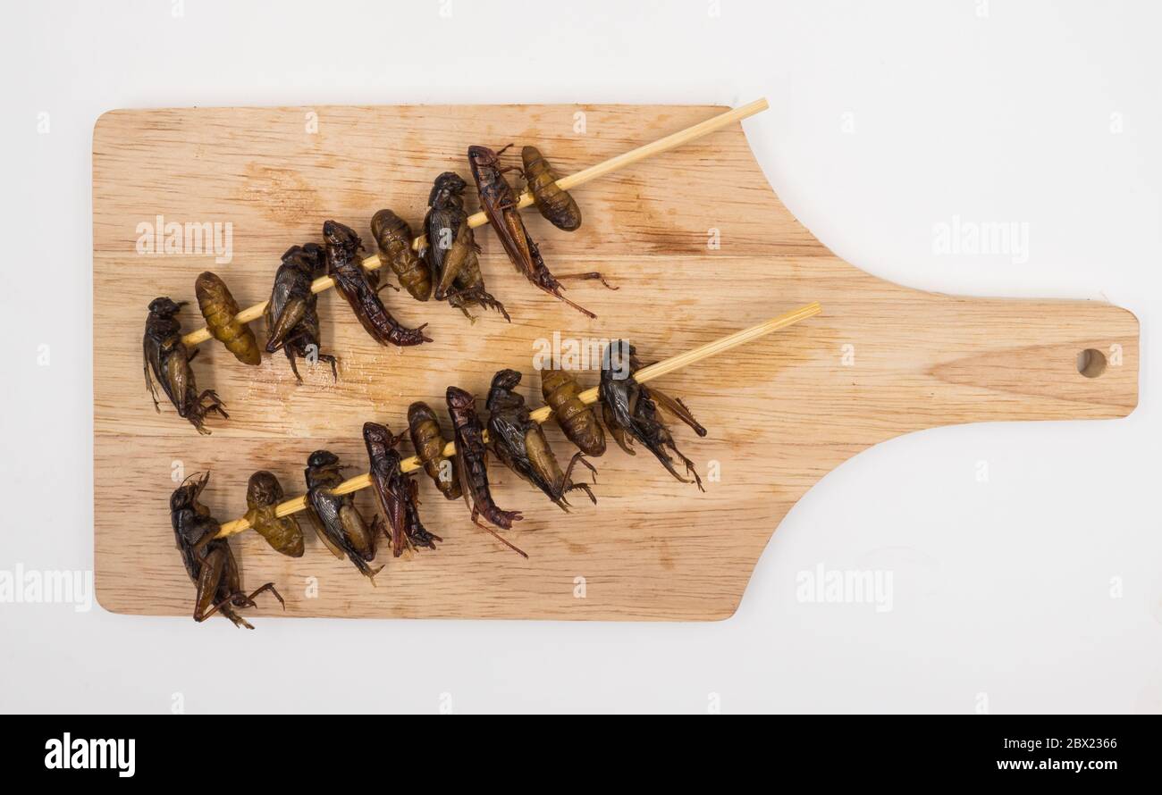 Fried insects. Protein rich food Stock Photo - Alamy