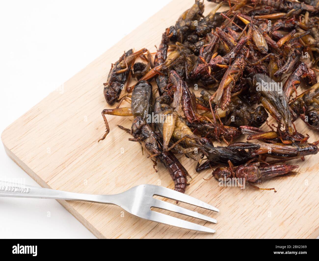 Fried insects. Protein rich food Stock Photo - Alamy