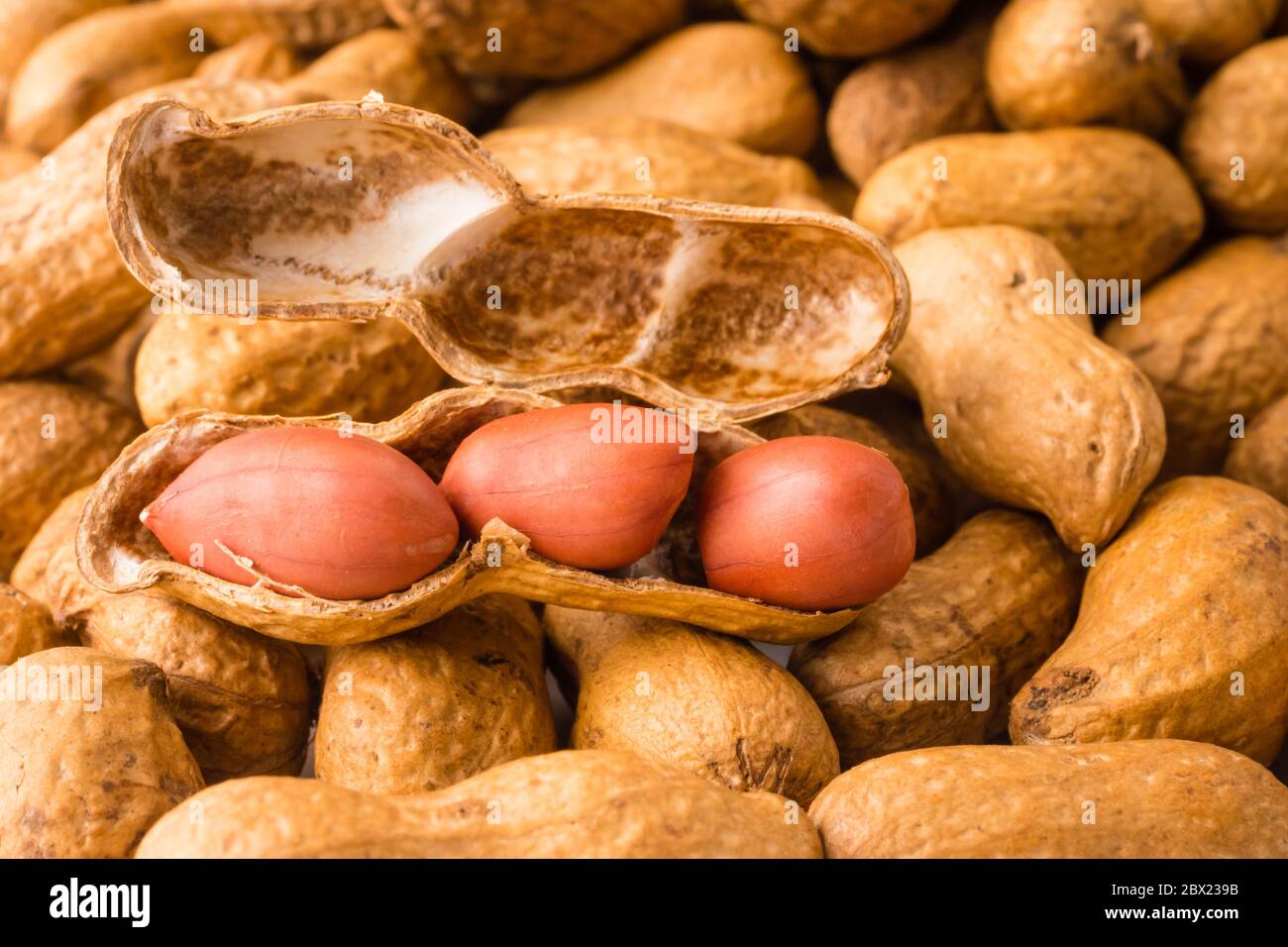 Peanut shell opened hi-res stock photography and images - Alamy