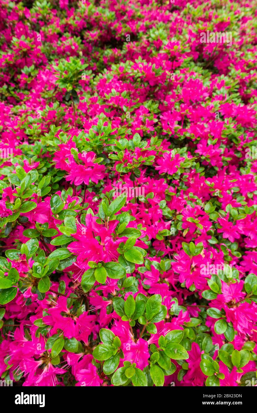 Brdo congress center hi-res stock photography and images - Alamy