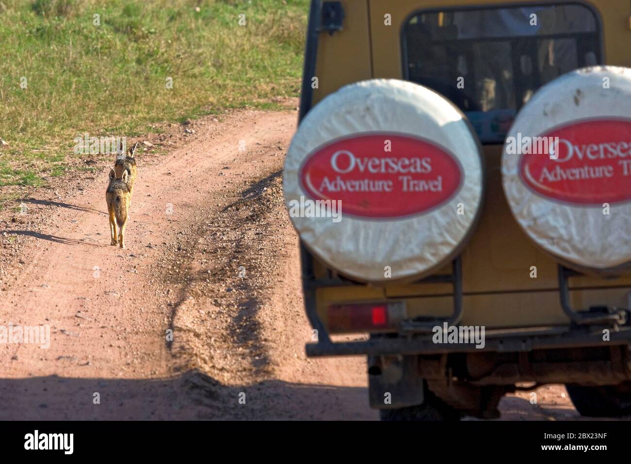 Land cruiser safari hi-res stock photography and images - Alamy