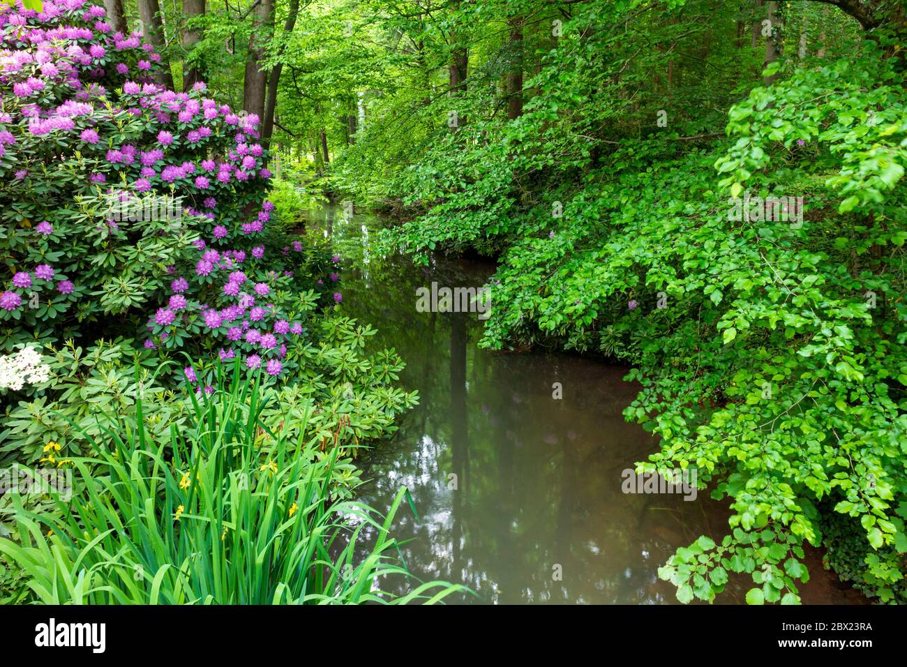 Brdo mountain hi-res stock photography and images - Alamy