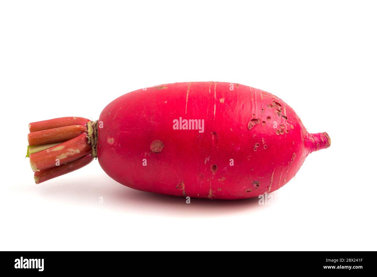 Pink ripe radish on Cut Out Stock Images & Pictures - Alamy