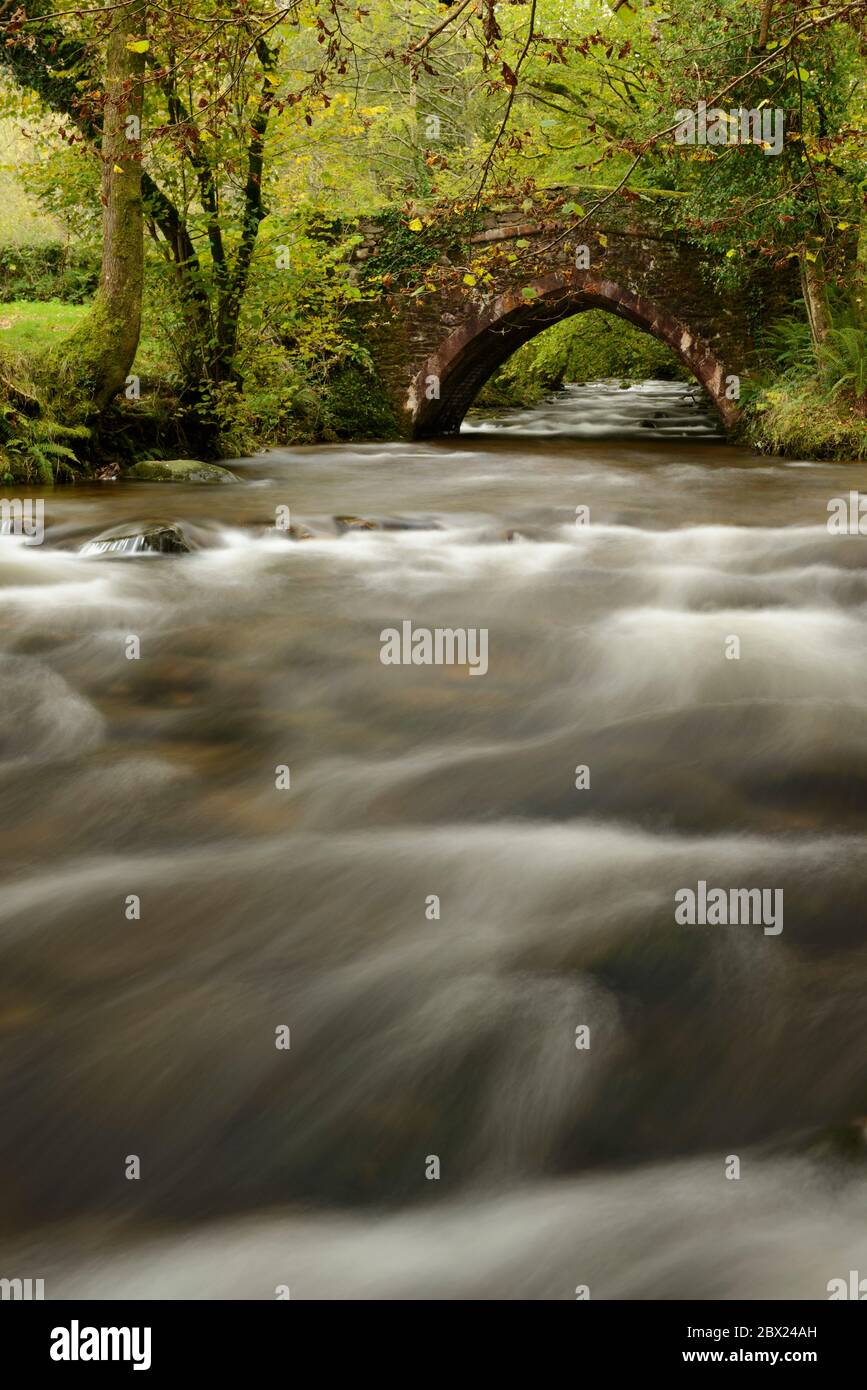 Horner woods hi-res stock photography and images - Alamy