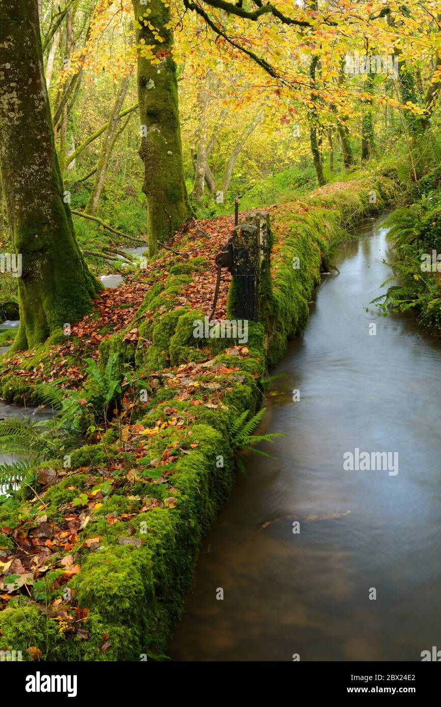 Oakhill nature reserve hi-res stock photography and images - Alamy
