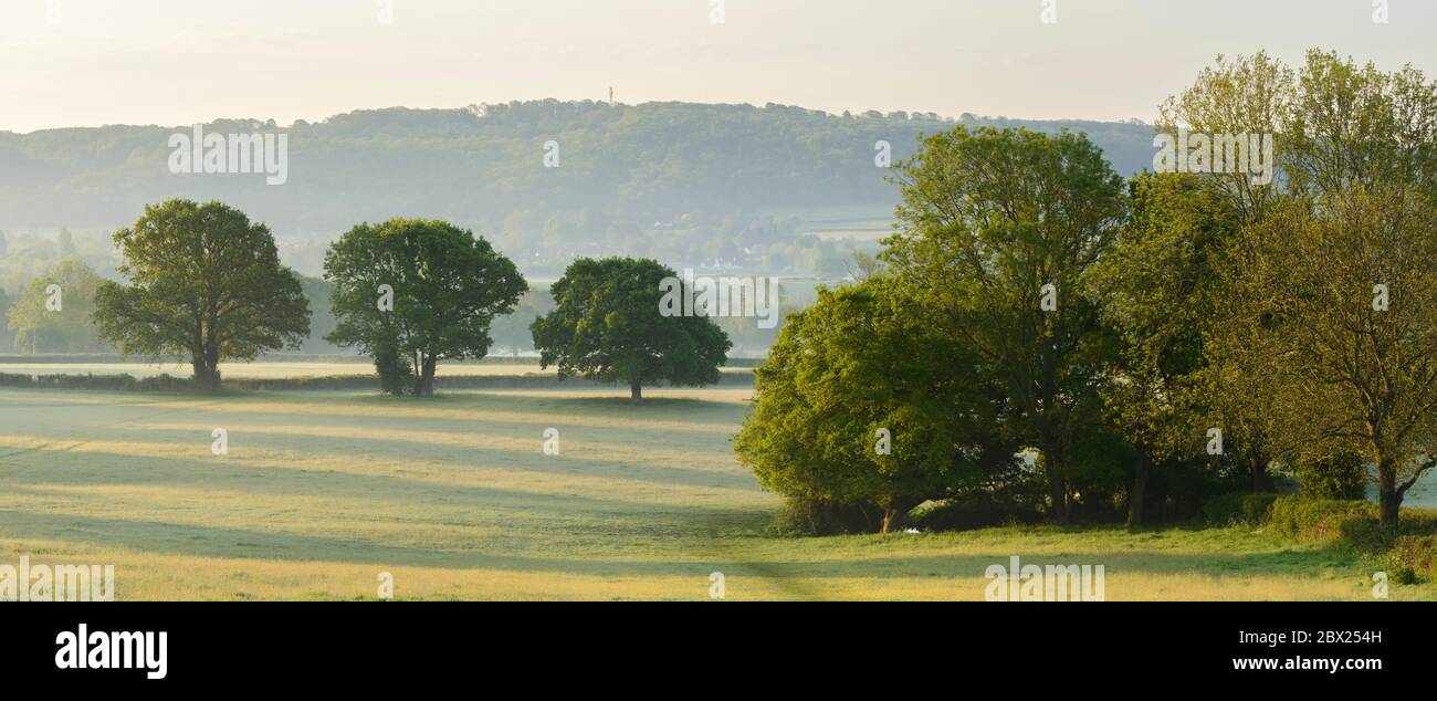 Nailsea town hi-res stock photography and images - Alamy