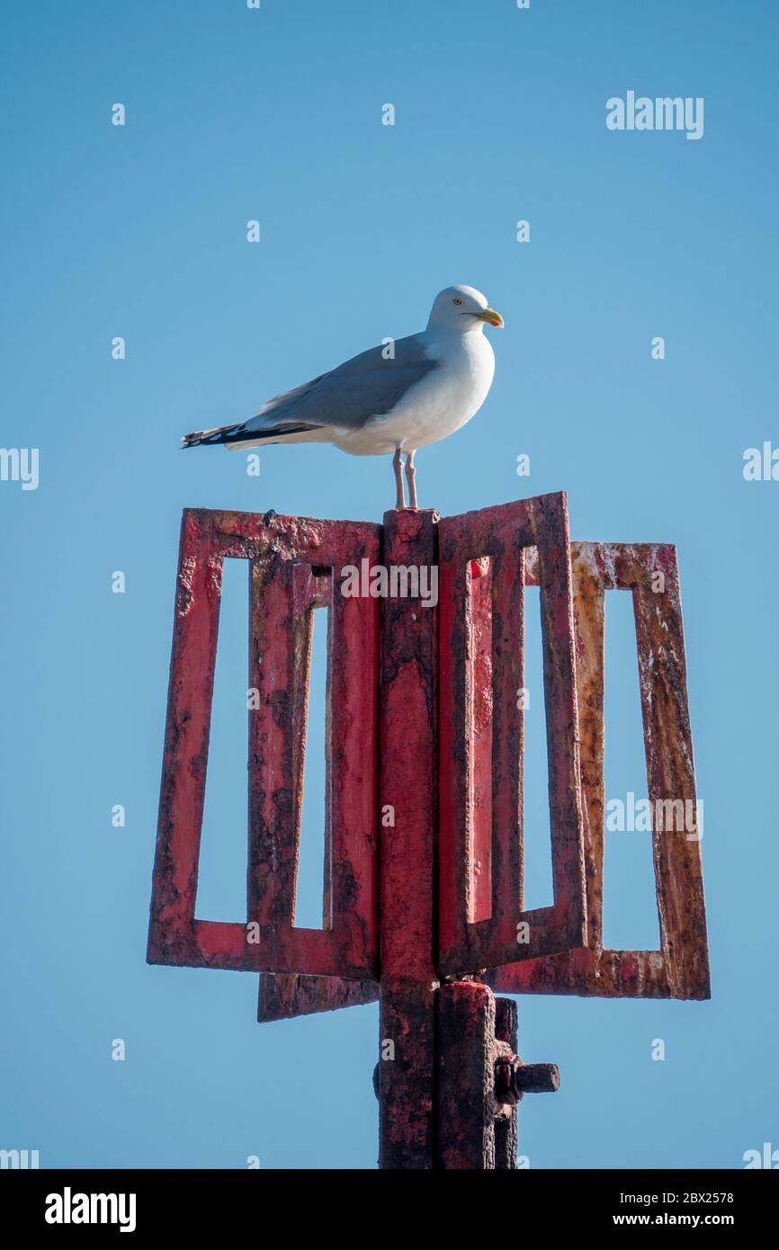 Tide marker hi-res stock photography and images - Alamy