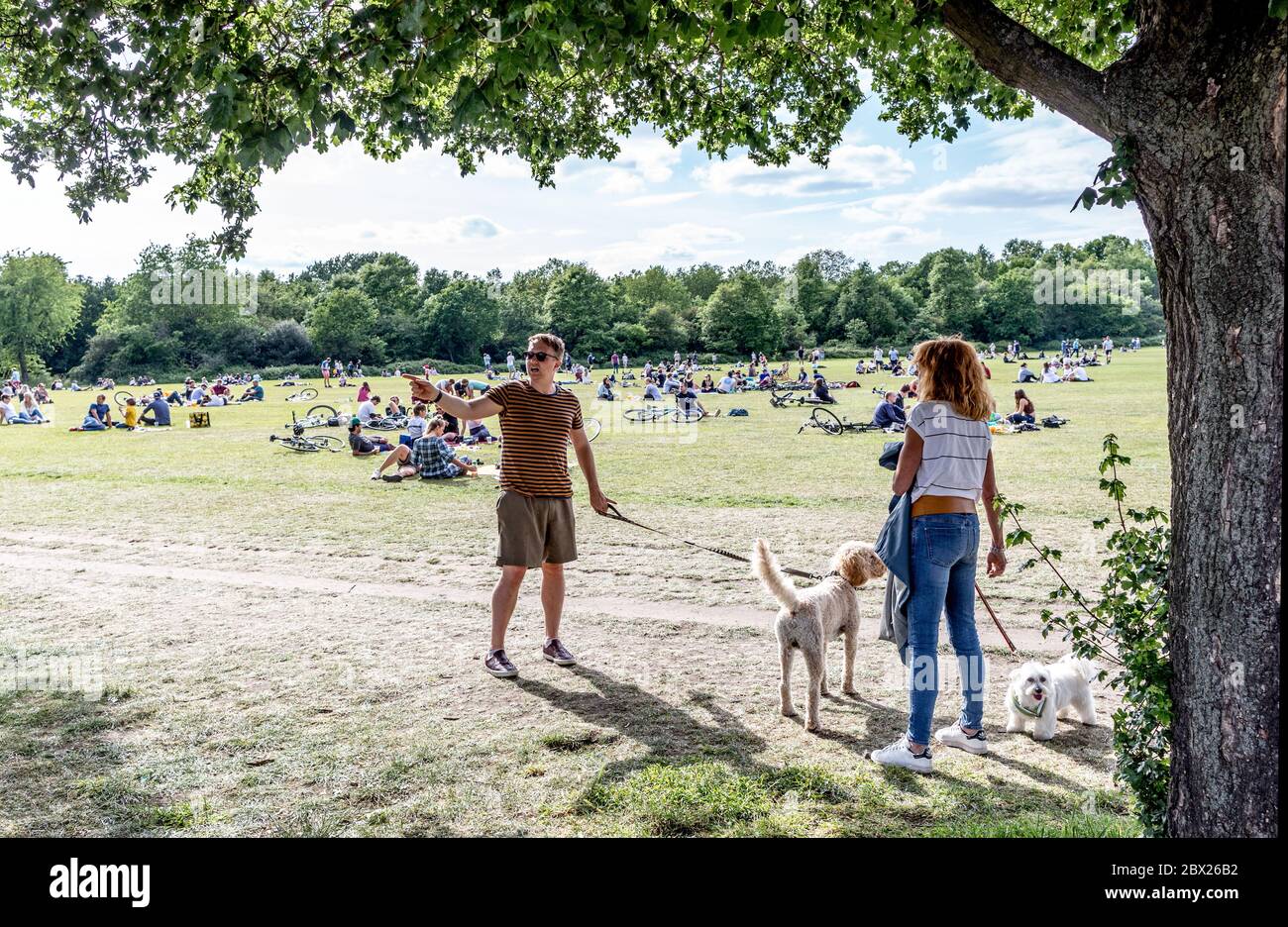 People enjoying Spring Sunshine on Wandsworth Common London UK Stock ...