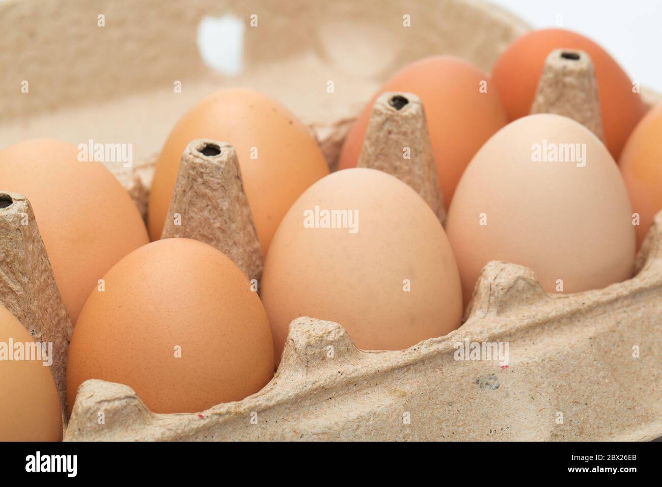 brown chicken eggs in an open cardboard box with eggs. Fresh chicken ...