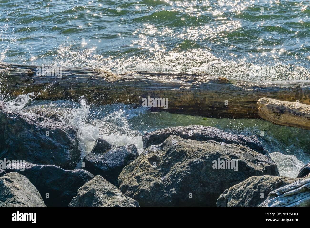 Waves hit a log and rocks in the Pacific Northwest Stock Photo - Alamy