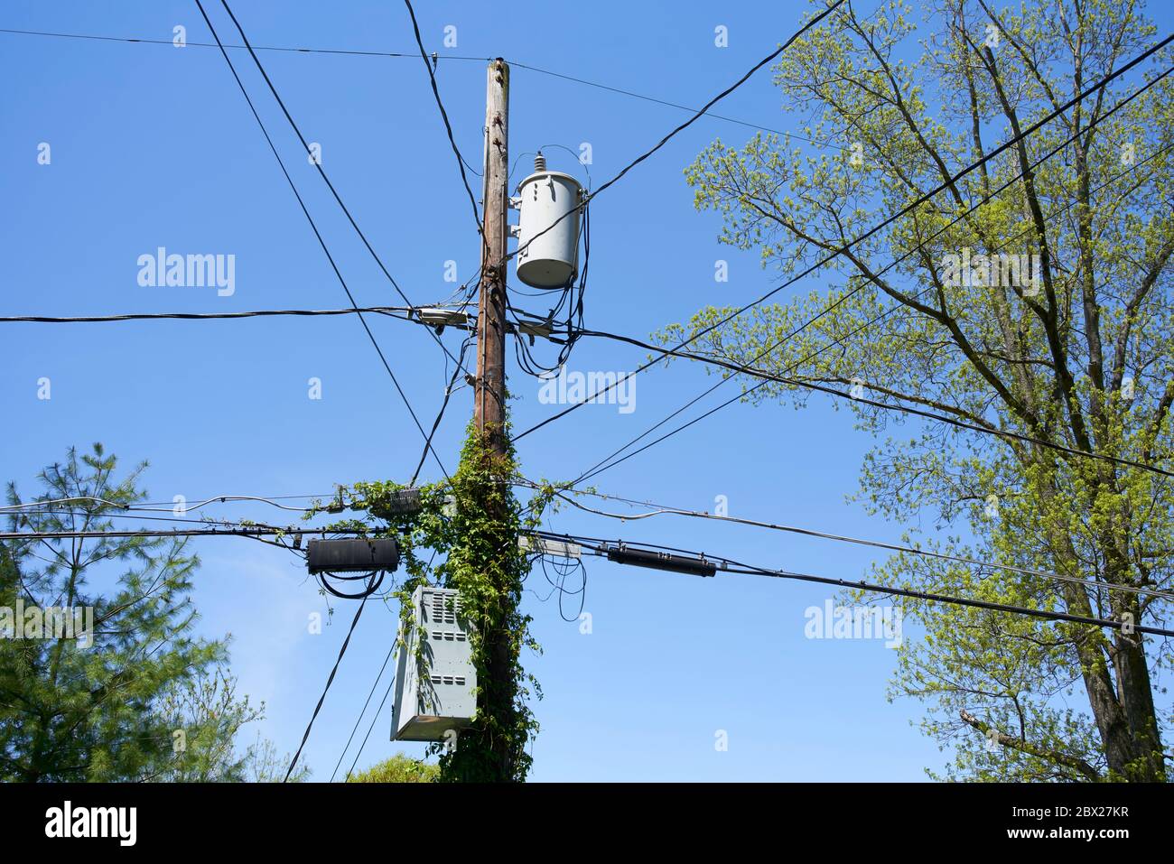 Above ground electricity distribution hi-res stock photography and ...