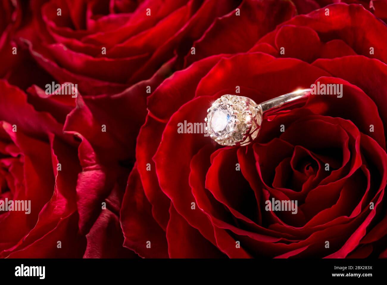 Red roses with engagement ring in the petals Stock Photo - Alamy