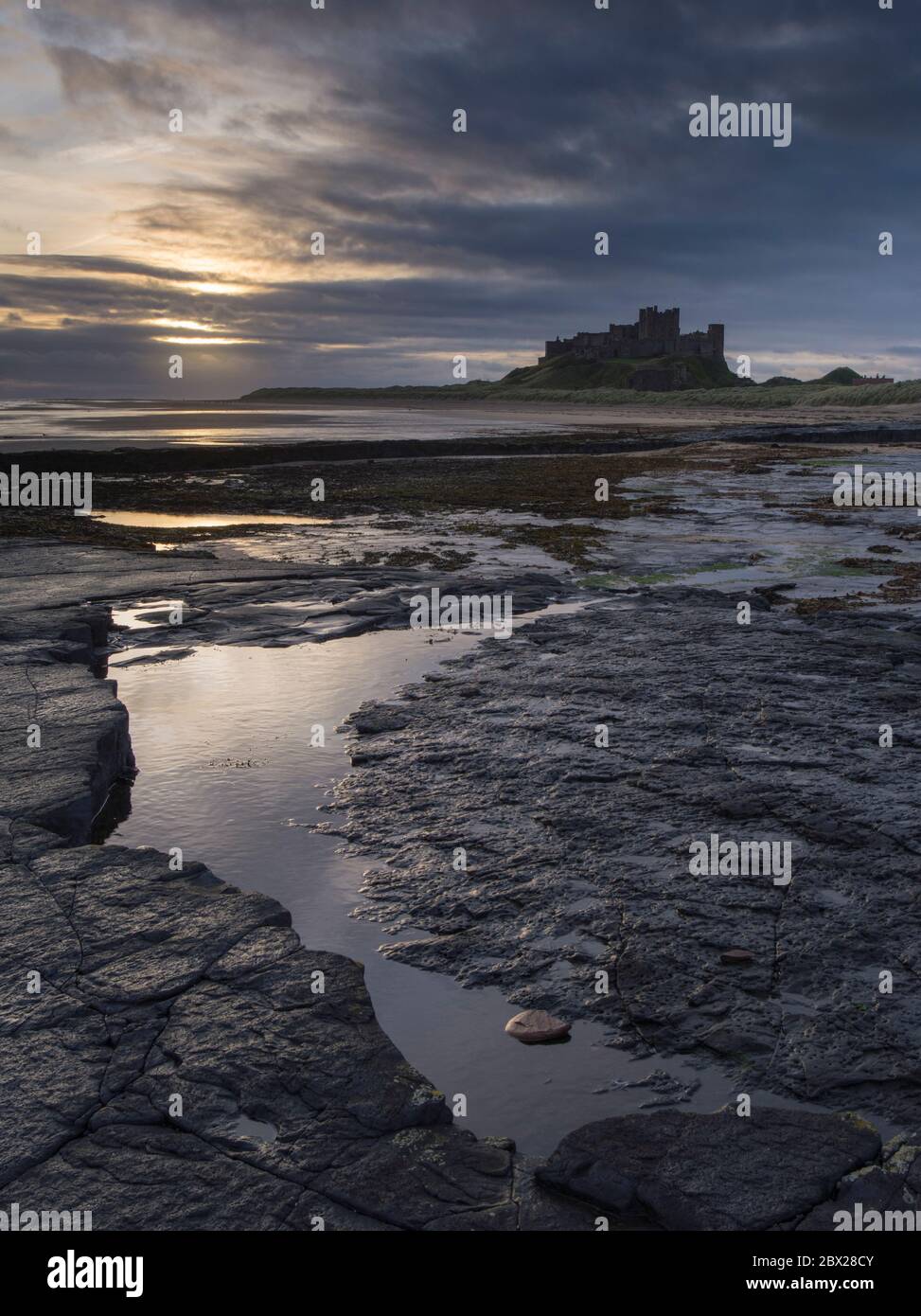 Bamburgh castle and beach in Bamburgh, Northumberland coast on the ...