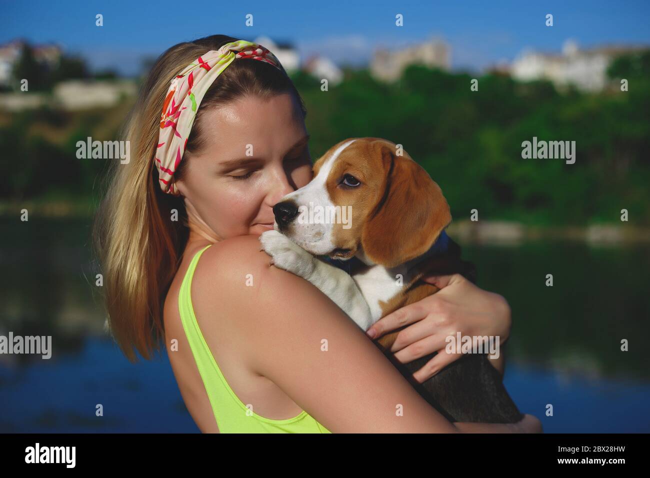 Beagle Vintage High Resolution Stock Photography and Images - Alamy