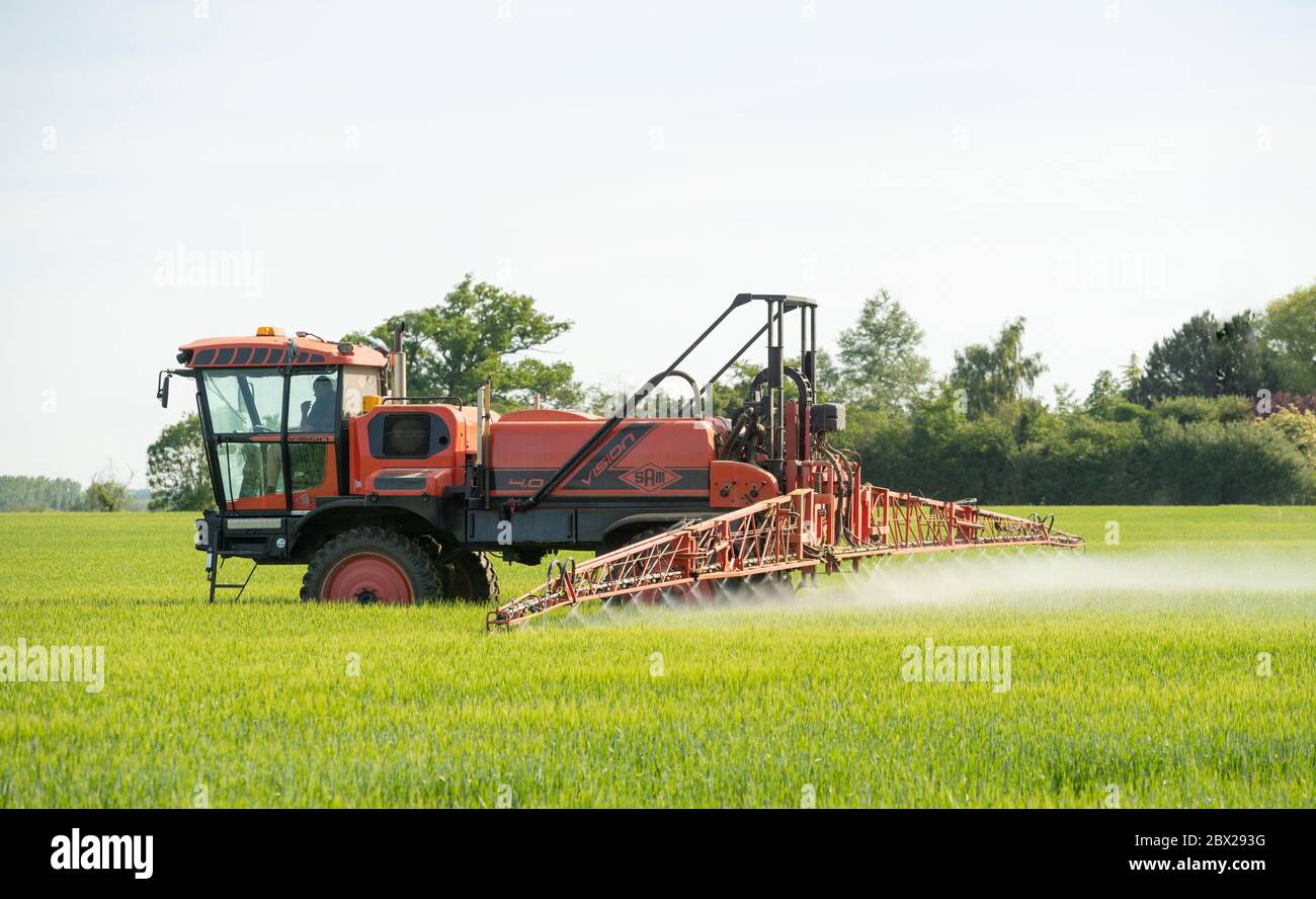 Crop sprayer spraying green crops in a field in Perry Green, Much ...