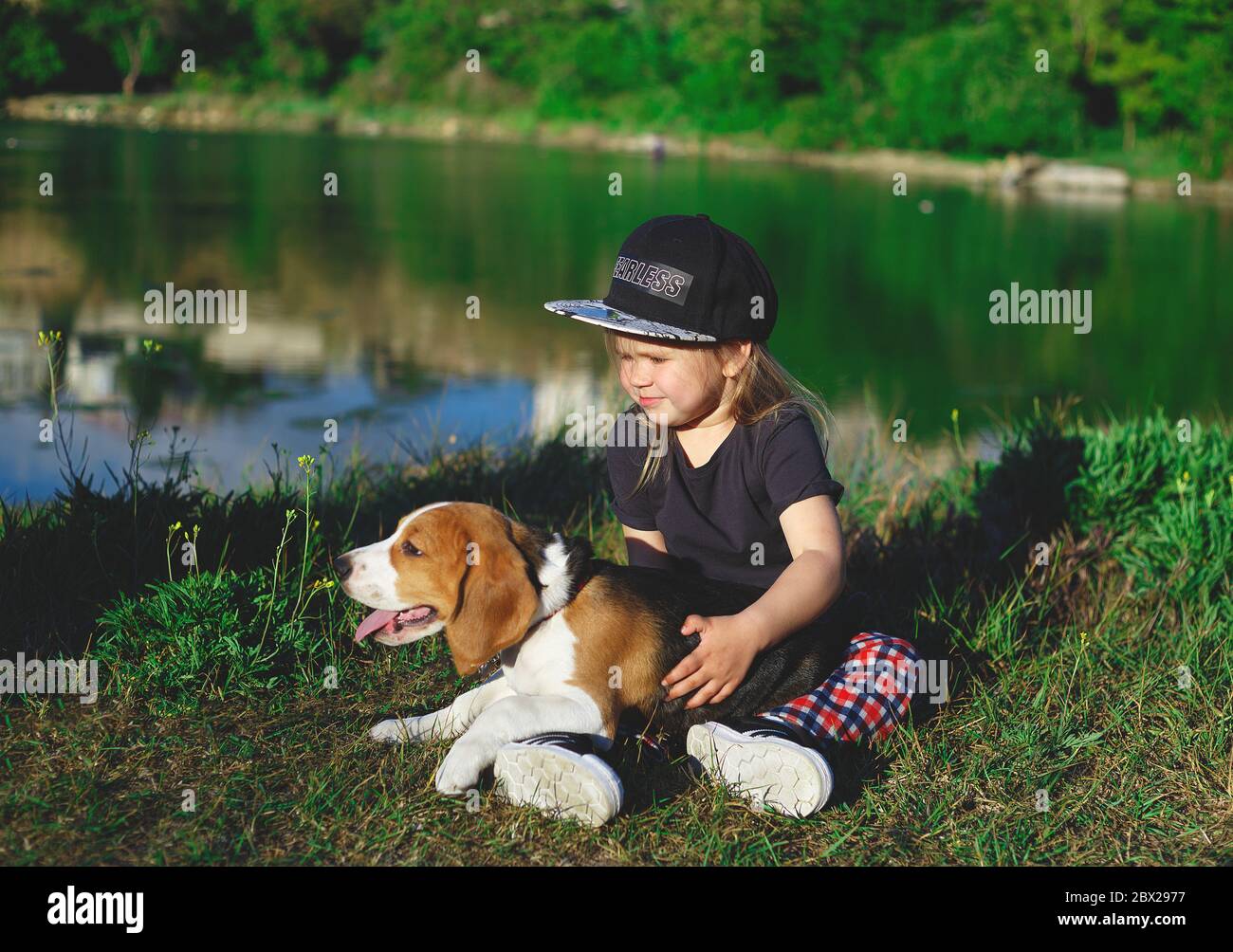 little girl hugs a cute beagle puppy Stock Photo - Alamy