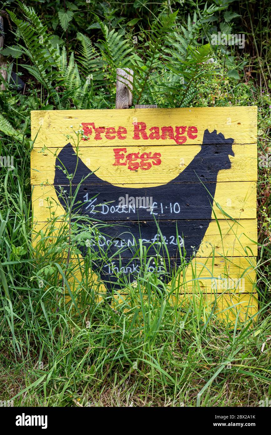 Homemage egg sign hi-res stock photography and images - Alamy