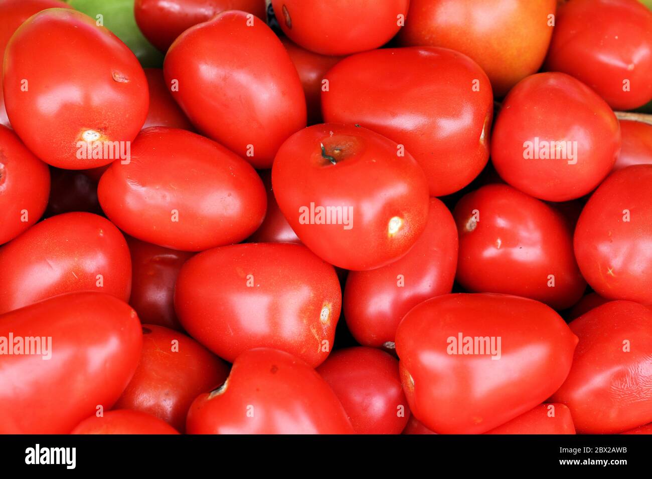 Plum tomato hi-res stock photography and images - Alamy