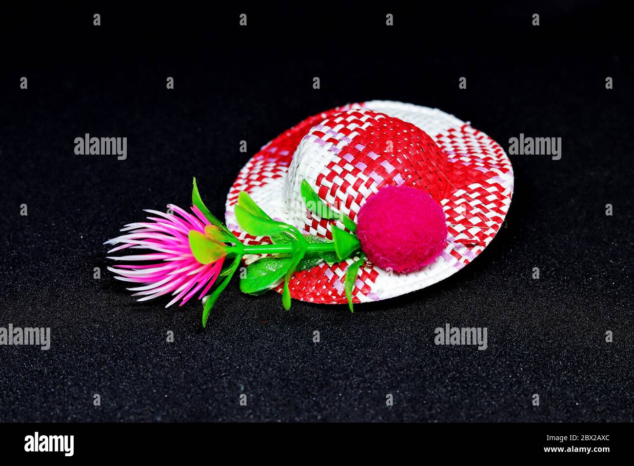 colorful cap hair claw clips isolated on black background with clipping ...