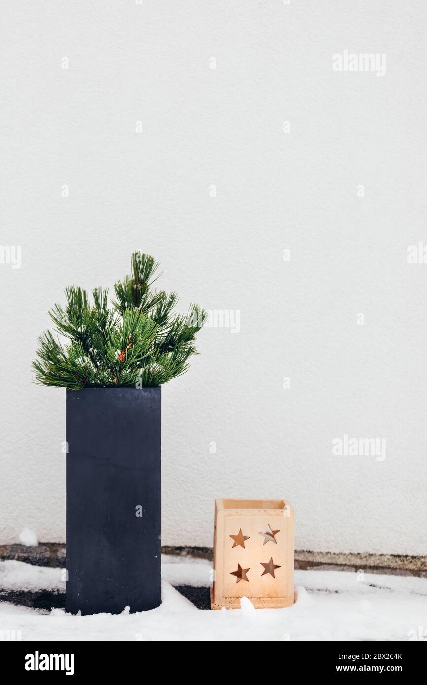 Conifer Pot High Resolution Stock Photography and Images - Alamy